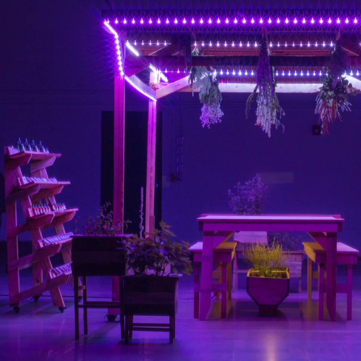 Justin Tyler Tate • Breck Create • Breckenridge, Colorado