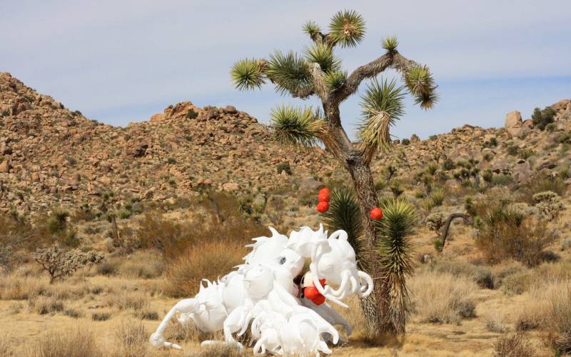 Breck Create • Breckenridge Arts, Culture & Creative Experiences ...